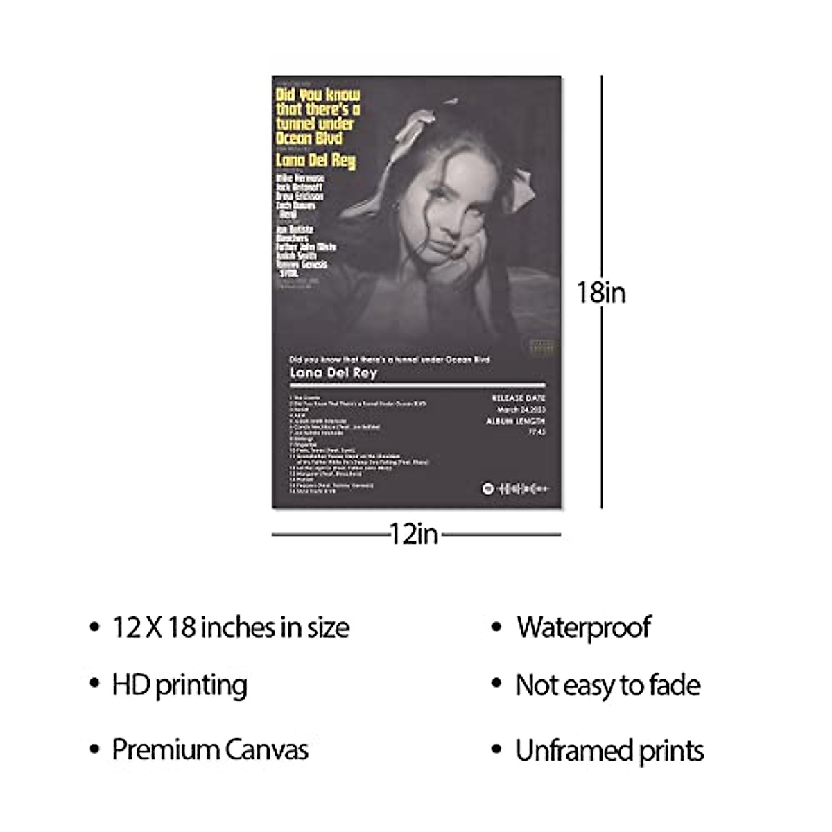 ADILAIDUN Pop Record Did you know that there's a tunnel under Ocean Blvd Album Cover Posters Music Collection Disc Wall Art Print Canvas Posters 12x18inch（Unframed 30x45cm Lana Del Rey）