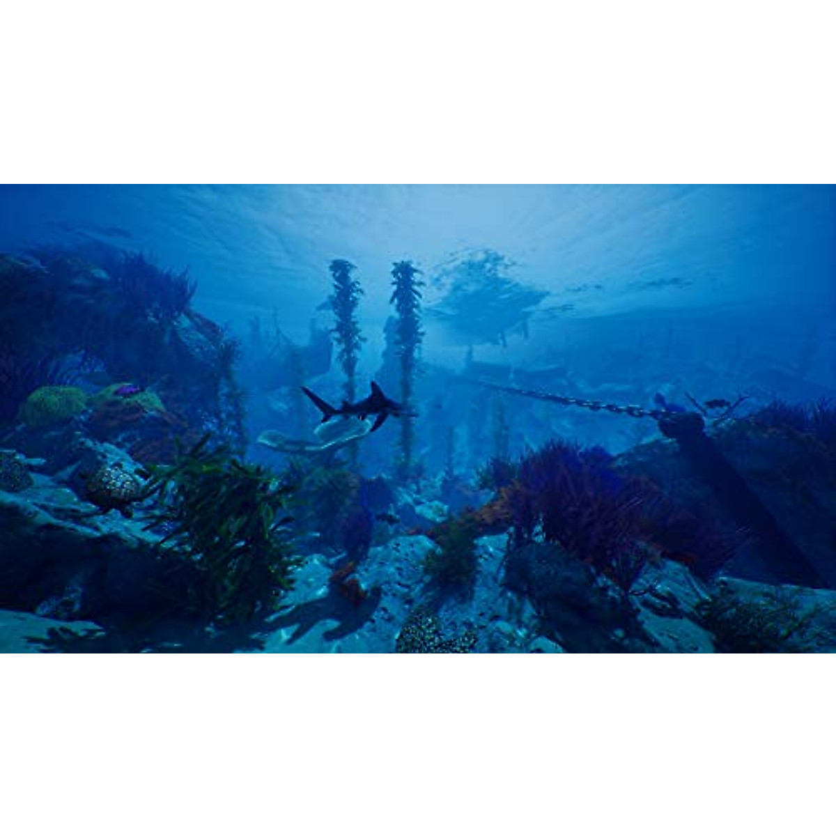 Maneater - Xbox Series X