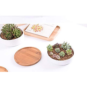 Lawei 3 Pack 6 inch Round Succulent Cactus Planter Pots with Drainage Bamboo Tray - Garden Ceramic Flower Planter Pot