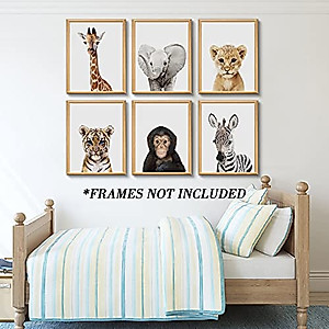 Set of 6 Baby Safari Nursery Wall Decor - Picture Cute Animal Wall Prints on Canvas, under 20 dollars gifts for Baby Boys and Girls Room, UNFRAMED Wall Art(8 x 10 inch)