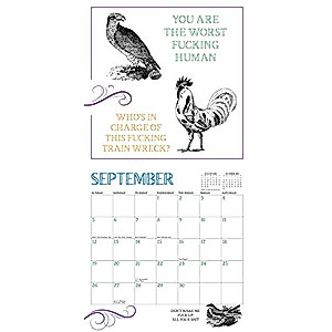 Effin' Birds 2021 Wall Calendar: A Field Guide to Identification