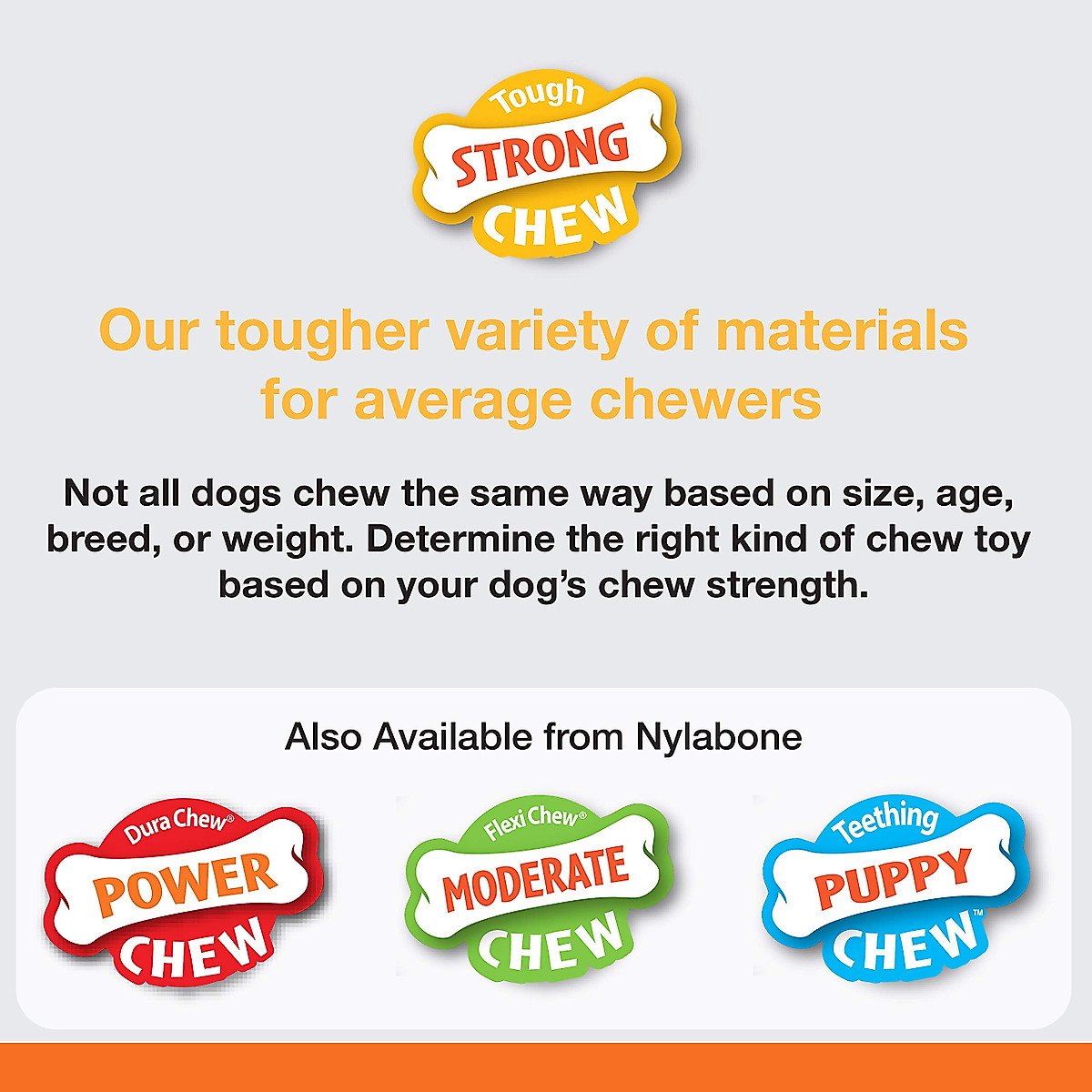 Nylabone Flavor Frenzy Strong Chew Toy Dog Toy Meatloaf & Gravy Medium/Wolf (1 Count)