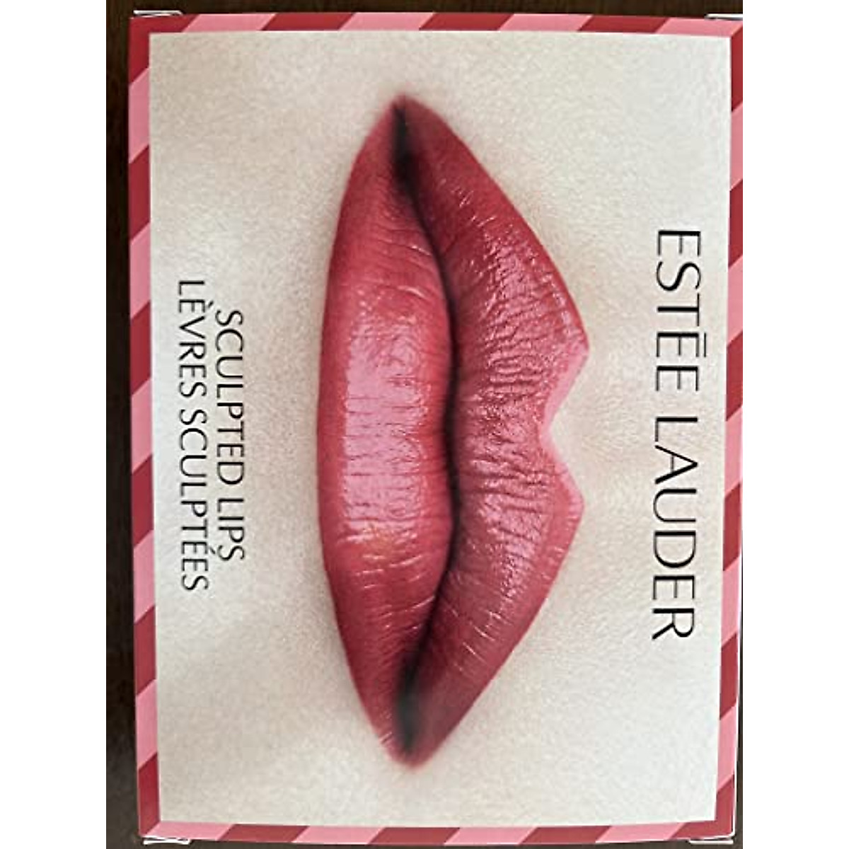 Estee Lauder Pretty Lip Gift Set Rebellious Rose Intense Nude Collection