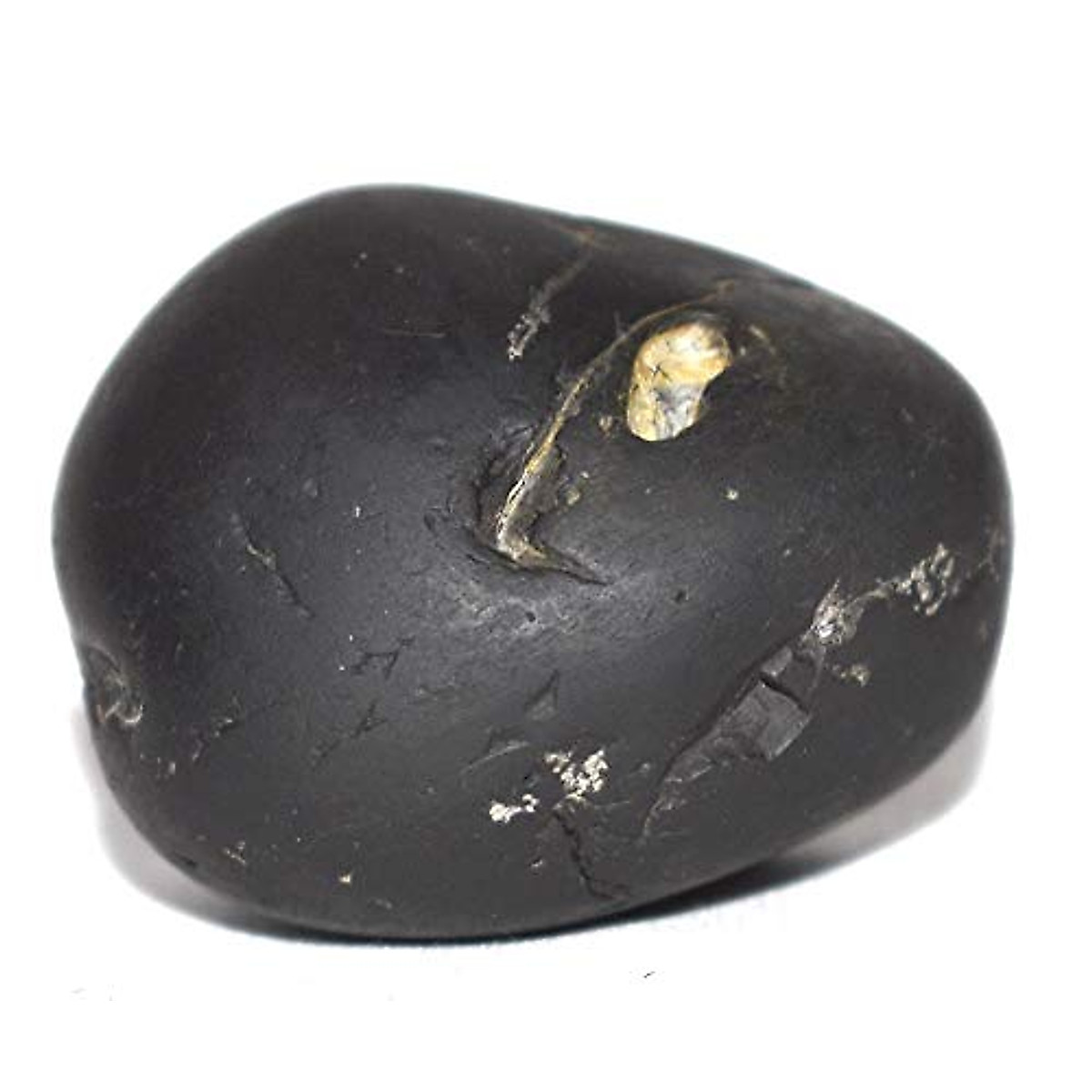 Rudrakshguru Janardhana Shaligram - Gandaki River Nepal