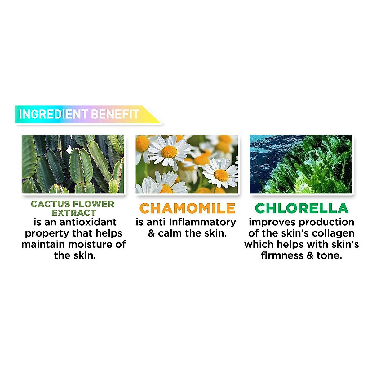 J.CAT BEAUTY Aquasurance Compact Foundation - Ivory