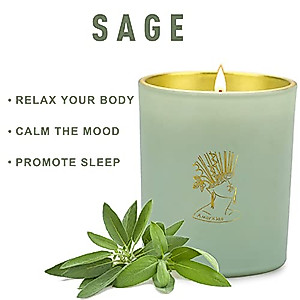Sage Candles for Cleansing House, Meditation, Protection, and Banishing Negative Energy, 3 Pack 7.8 OZ Candles for Home Scented, 105 Hour Long Lasting Scented Candles,Candles Gifts for Women