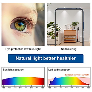 GOHDLAMP Dimmable GU10 LED Bulbs - 50W Equivalent Recessed Track Lighting - 5W 5000K Daylight White - 450LM 38° Beam Spot Light Bulbs - Ideal for Kitchen, Living Room, Bedroom - Pack of 6.