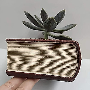 Aygrün Succulent Pots, Cute Resin Animal Flower Planters Decorations, 4 Inches, Creative Pot for Sempervivum with Drainage, Gift for Women, Man, Office and Garden Decor Book, 5.5″x4.0″x2.2″