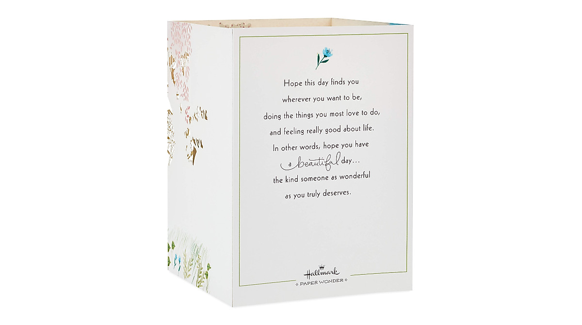 Hallmark Paper Wonder Displayable Pop Up Birthday Card for Women ...