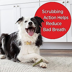 Milk-Bone Fresh Breath Brushing Chews, 25 Small/Medium Daily Dental Dog Treats