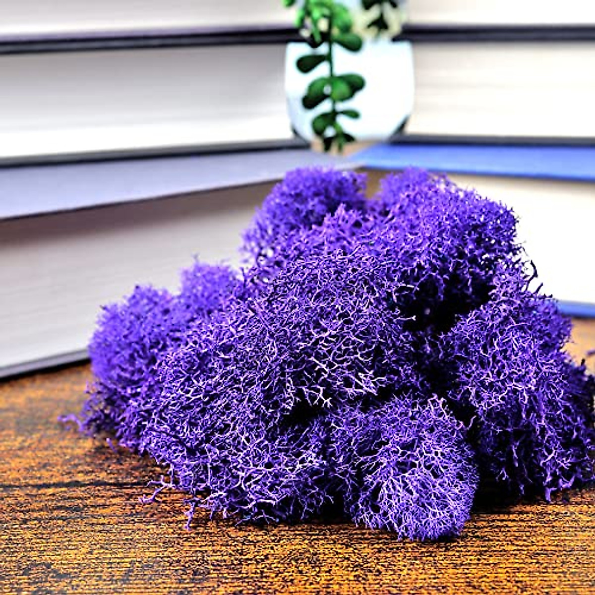 NW Wholesaler 1 LB Purple Preserved Reindeer Moss - Indoor Outdoor for Potted Plants, Terrariums, Fairy Gardens, Arts and Crafts or Floral Decor Design