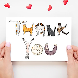 Bhiosng MOCO PAPER Funny Cat Thank You Card For Men Women, Cute Cat Thank You Gift for Him Her, Appreciation Card Thanks Gift for Friend Teacher Boss Coworker, Thank You Card For Cat Mom Dad