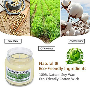 Soyyla Citronella Candles Outdoor and Indoor, 4 Packs of 4 oz Portable Glass Jar Candle, Natural Soy Wax Off Candles Set for Home Patio Camping Beach Themed Gifts