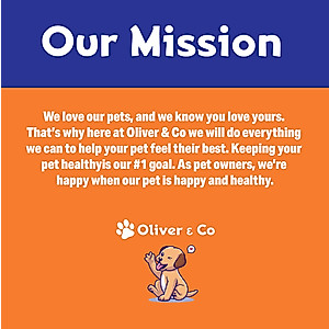 Natural Yeast Infection Treatment for Dogs | Helps to Support Itch Relief, Scratching Relief & Much More | Ear Infection Treatment for Dogs | Dog Ear Infection Treatment | 1 fl oz