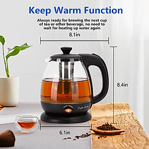 Electric Kettle with Tea Infuser, Small Electric Tea Kettle with Keep Warm Function for Home and Office, Black Taylor Swoden