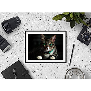 8x10 50 Sheets 100% Cotton Fine Art 12mil – Professional Archival Premium Paper for Use with Inkjet Printers – Printer Paper for Photography and Art