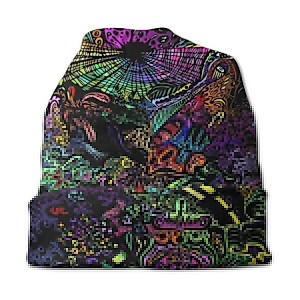 Trippy Psychedelic Art (2) Beanie Men Women Unisex Skull Knit Hat Cap