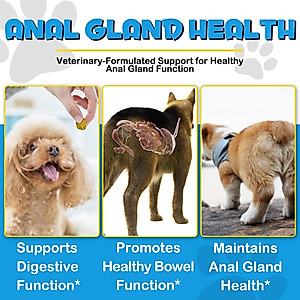 Anal Gland Soft Chew Treats, Dog Fiber Supplement for Anal Glands with Pumpkin, Digestive Enzymes, Gland Support Soft Chews for Dogs Digestive & Gut Health, Normal Bowel Function