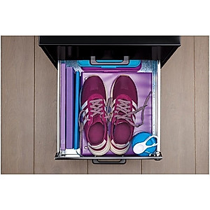 Scranton & Co Metal 2 Drawer Letter File Cabinet in Black