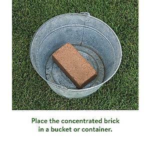 Burpee Organic Coconut Coir Concentrated Seed Starting Mix, 16 Quart