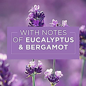 Glade Candle Jar, Air Freshener, Tranquil Lavender & Aloe, 3.4 Oz