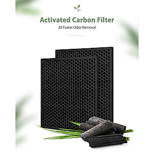 Future Way 2 Set HSP001 Filter Replacement Compatible with HSP001 Smart True HEPA Air Purifier, H13 True HEPA and Activated Carbon Filter