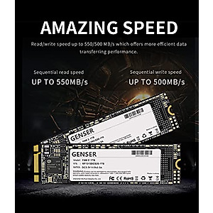 GENSER M2 SATA SSD 1TB Solid State Drive 1000GB M.2 NGFF 2280 Internal Hard Disk HDD for Desktop Laptop (B-1TB)