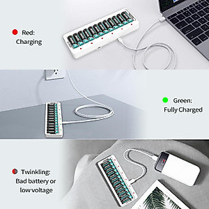 Dlyfull 12 Bay AA AAA Battery Charger, USB and Type-C Selectable High-Speeding Charging for Ni-MH Ni-CD Rechargeable Batteries, USB Cable Included