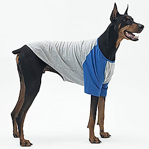 Lucky Petter Dog Shirt for Small and Large Dogs Raglan Cotton T-Shirts Soft Breathable Dog Shirts pet Clothes Gray Series (3X-Large, Gray/Blue)