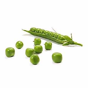 Lincoln Garden Pea Seeds for Planting, 50+ Heirloom Seeds Per Packet, (Isla's Garden Seeds), Non GMO Seeds, Botanical Name: Pisum sativum, Great Home Garden Gift