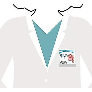 SLP Pocket Charts