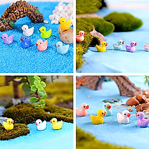 HYG 84 Pieces Mini Resin Duck 7 Colors,These Little Ducks can be Used in Miniature Gardens, They are Best Gifts for Christmas, Birthday Party, Halloween