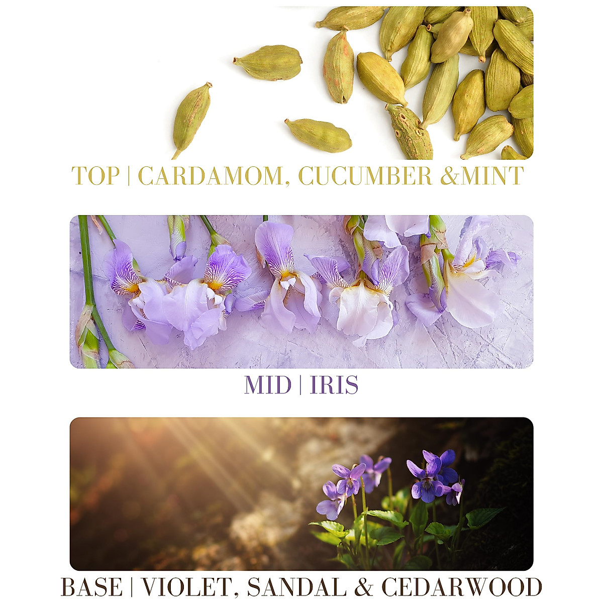 Santal Artisan Natural Room and Linen Spray with Pure Essential and Fragrance Oils, Made in California (4 oz), 33