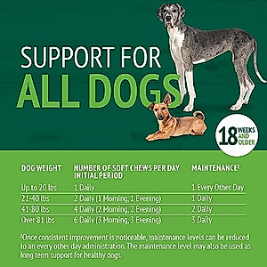 PetNC Natural Care Hip and Joint Soft Chews for Dogs, 90 Count,Liver,0.03 pounds