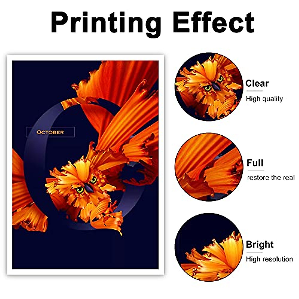 VIT 3 Pack (1C+1M+1Y) Toner Compatible TN223 TN-223 TN223C TN223M TN223Y Toner Cartridge Replacement for Brother MFC 3770CDW L3750CDW L3730CDW HL 3230CDW 3270CDW 3290CDW DCP L3510CDW L3550CDW Printer