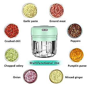 Electric Mini Vegetable Chopper, Food Chopper, Garlic Slicer Veggie, Salad, Lettuce, Onion, Chili Crusher, Tomato Dicer Chopper Cutter & Ginger Meat Mincer for Kitchen, Portable USB Chopper (250ML)