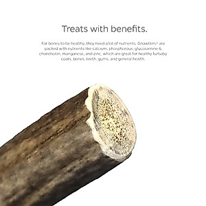 Pet Parents® Gnawtlers® - Premium Elk Antlers for Dogs, Naturally Shed Elk Antlers, All Natural Elk Antler Dog Chew, Specially Selected from The Heartland Regions (Large)