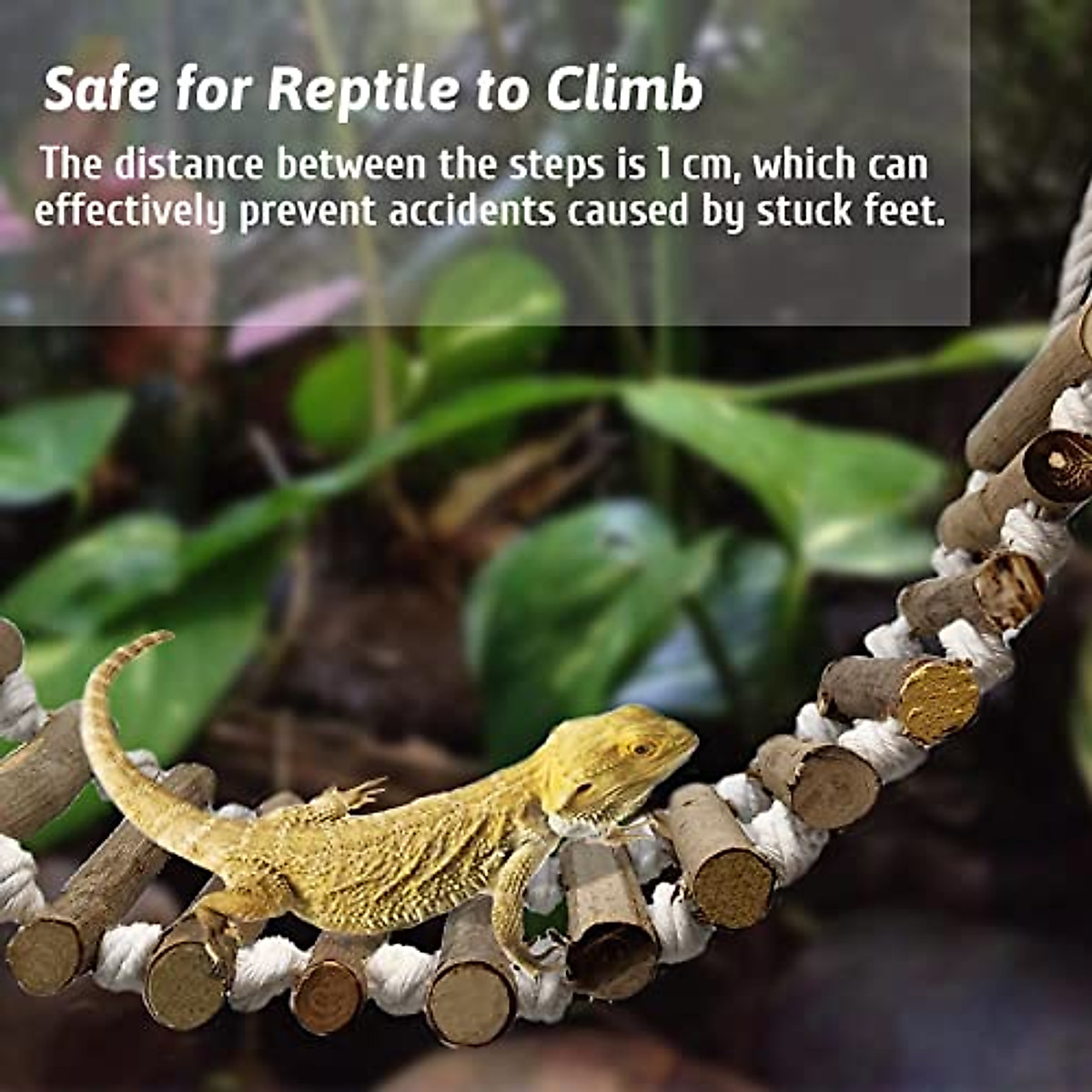 Hamiledyi Gecko Ladder Bridge, 2 PCS Wooden Reptile Ladders Hanging Bearded Dragon Rope Bridge Hermit Crab Climbing Toys Terrarium Accessories for Chameleons Turtle Lizard Frog