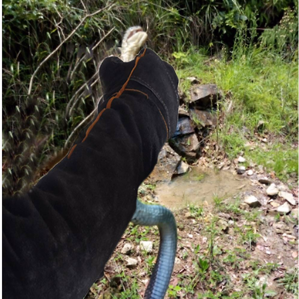 Less bad Animal Protection Gloves Anti-Bite & Scratch Handling Gloves for Dog Cat Bird Reptile Snake (Black-1)