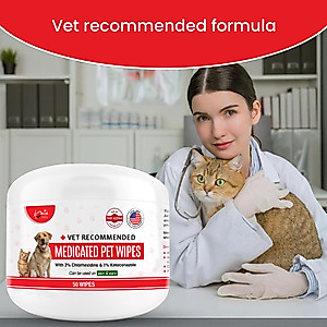 Amate Medicated Dog Wipes for Ear Skin & Coat - Pet Wipes for Dogs & Cats - 2.5” Small Wipes - Relieve Skin Issues, Hot Spots & Irritation - Pack of 50