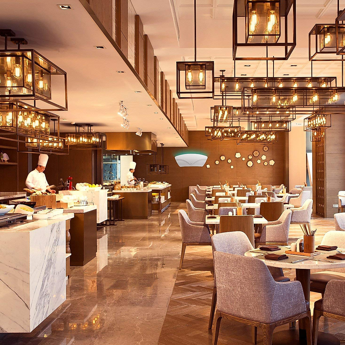 Faicuk Wall Sconce Fly Light Trap (WS130) …