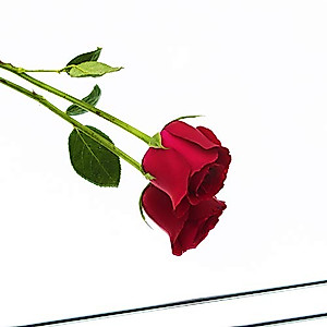 Ruomeng Full Length Mirror Tiles - 12 Inch x 4Pcs Frameless Wall Mirror Set Make Up Mirror for Home Gym Vanity Bedroom, Living Room