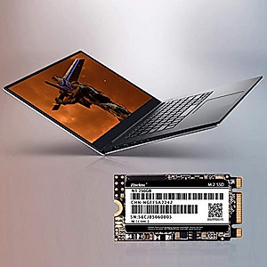 Zheino M.2 2242 256GB SSD NGFF SATA III 6gb/s Internal 3D Nand Solid State Drive for Ultrabooks and Tablets