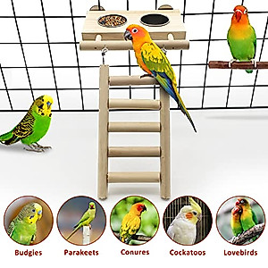 Tfwadmx Bird Food Stainless Steel Cups Wooden Perch Stand Hanging Feeder Bowls Feeding and Watering Supplies for Parakeets Conures Cockatiels Budgie Parrot