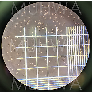 MUHWA Hemocytometer Neubauer Improved Blood Counting Chamber Cell Counting Chamber with Bright Line with 2 pcs Coverslips