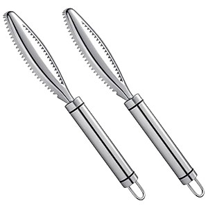Fish Scaler Tool, 2PCS Stainless Steel Fish Scale Remover, Portable Fish Descaler Tool, Hanging Fish Scaler Tool for Kitchen, Seafood Markets