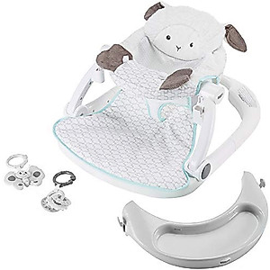Replacement Seat Pad for Sit-Me-Up Floor Seat - GBL17 Fisher-Price Baby Sit Up Seat ~ Lamb Theme ~ Replacement Seat Cover in Teal and White
