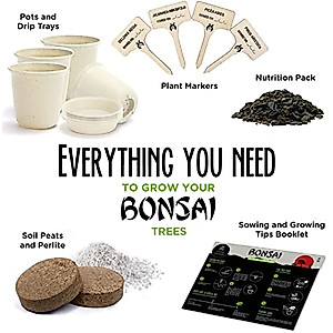 Bonsai Tree Kit, Grow Your Own: Premium 4 Bonsai Trees Starter Kit | Unique Japanese Gifts for Moms Who Have Everything, Women, Men | Gardening Plant Gift for Beginners & Gardeners, Crafts for Adults