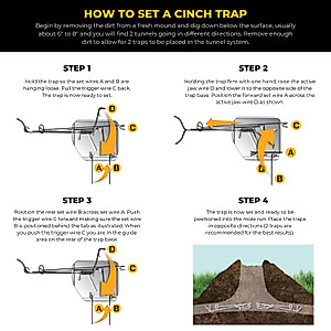 Cinch Gopher Trap Kit - Professional-Grade Gopher Traps That Work Best, Heavy Duty, Reusable Rodent Trapping System - Ideal for Lawns, Gardens, Ranches, and More - Outdoor Use, Small (3 Pack)