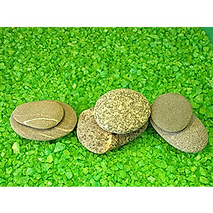 Dill with It Pickle Bath Soak - Premium Dill Pickle Scented Bath Salts for Teens - Weird Spa Gift for Pickle Lovers, Funny Stocking Stuffers, Grab Bags, and Gift Baskets